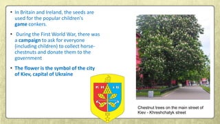 Hemotoxic plants | PPT