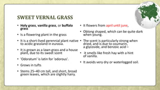 Hemotoxic plants | PPT | Free Download