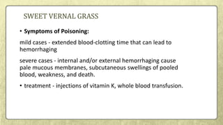Hemotoxic plants | PPT