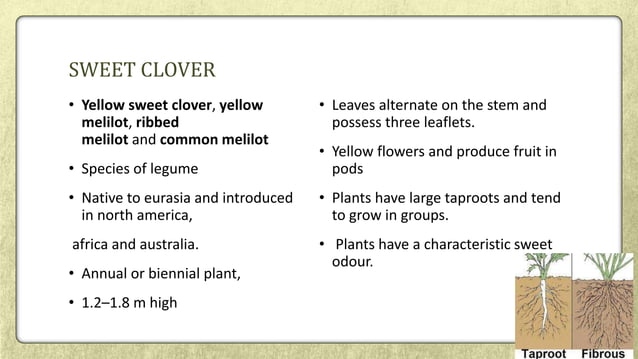 Hemotoxic plants | PPTX