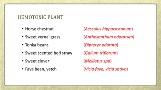 Hemotoxic plants | PPT | Free Download