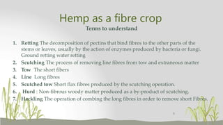 hemp-200627132246.pptx