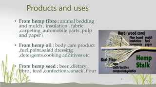 hemp-200627132246.pptx