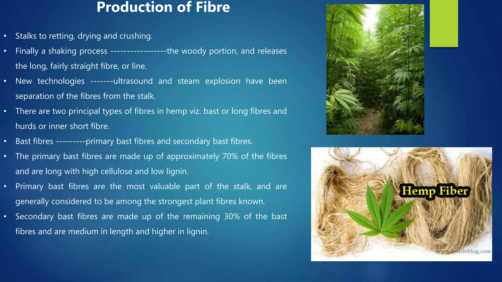 Pharmacognosy of Hemp | PPTX