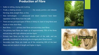 Pharmacognosy of Hemp | PPTX