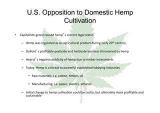 Hemp Cultivation | PDF