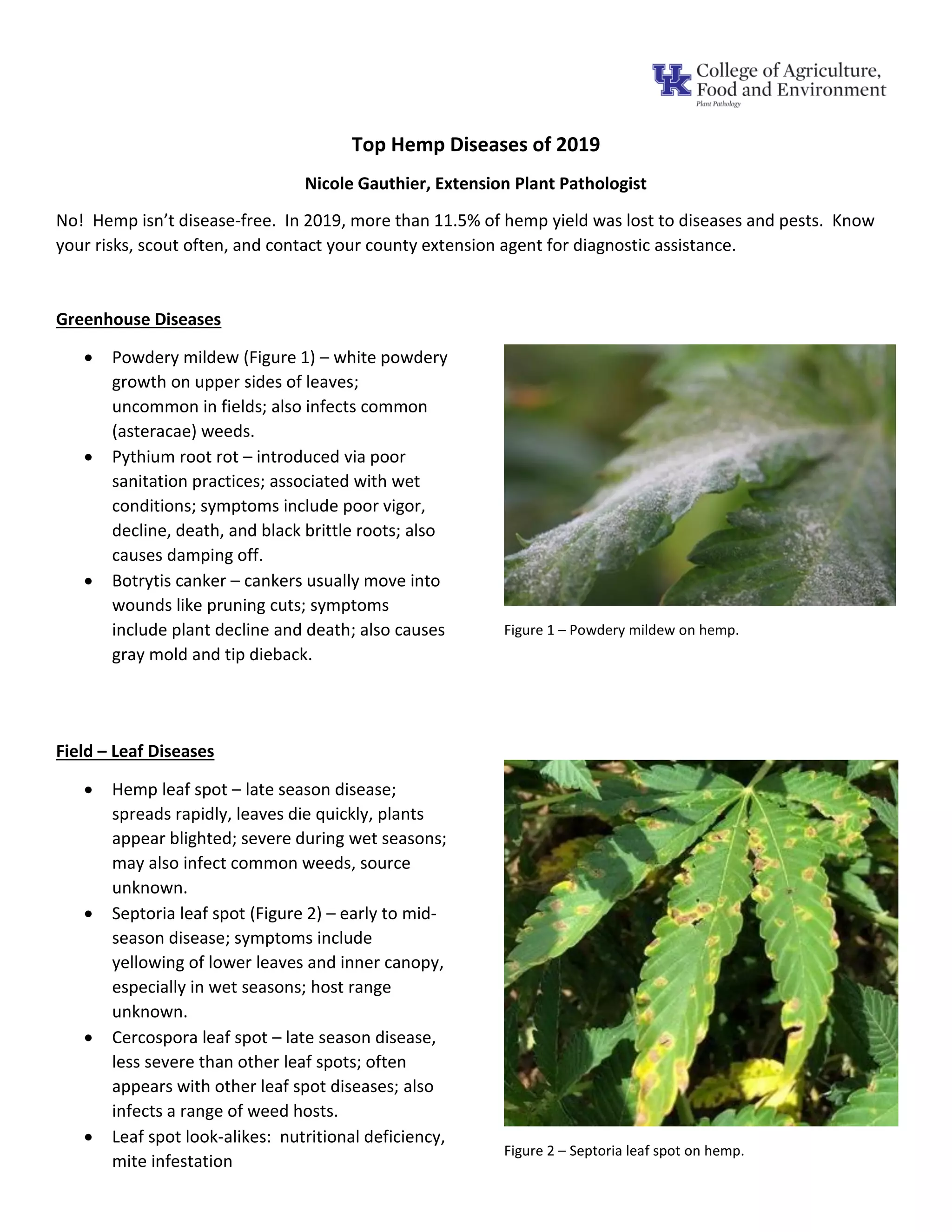 Hemp disease handout 2019 | PDF