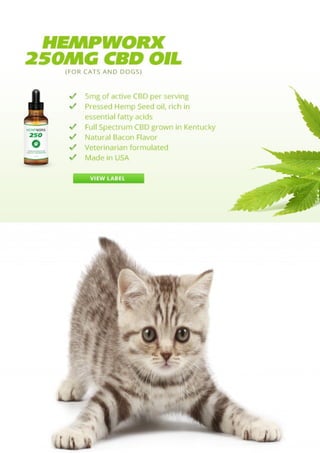 Hempworx cbd dog cat | PDF