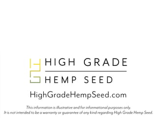 Hemp Farming 101 | From Seed Selection to Soil Preparation | PPT