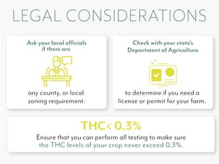 Hemp Farming 101 | From Seed Selection to Soil Preparation | PPT