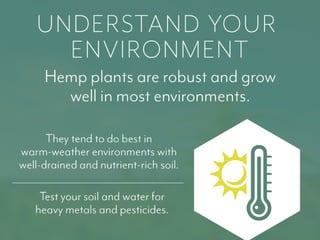 Hemp Farming 101 | From Seed Selection to Soil Preparation | PPT