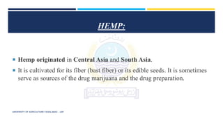 Hemp quiz 1 | PPTX