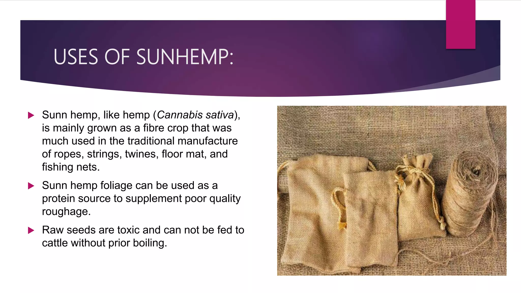 HEMP & SUNHEMP Cultivation | PPTX