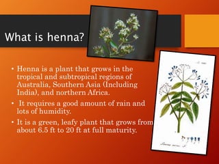 Henna | PPTX
