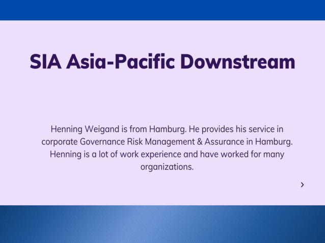 Henning Weigand Risk Management | PPTX