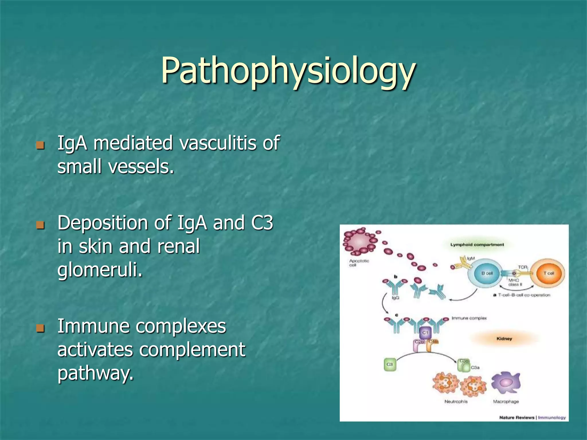 Henoch-schonlein purpura.ppt