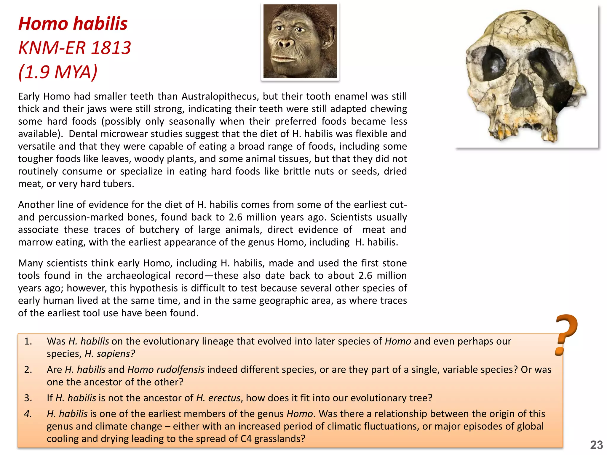 Human Evolution - a notebook | PDF