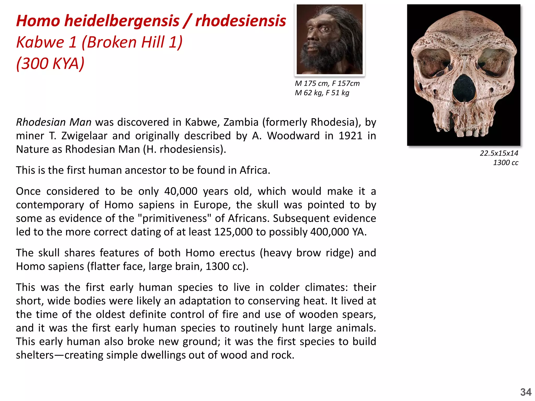 Human Evolution - a notebook | PPT