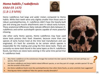 Human Evolution - a notebook | PDF