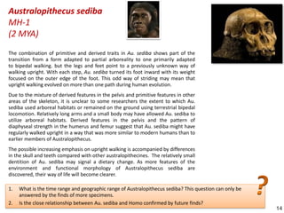 Australopithecus Sediba Timeline