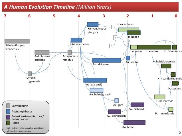 Human Evolution - a notebook
