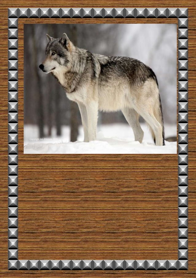 Henry and jarred | DOCX