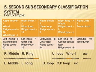 Henry Classification.pptx Seven Division of Henry Formula | PPTX
