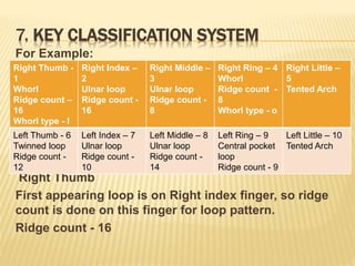 Henry Classification.pptx Seven Division of Henry Formula | PPTX