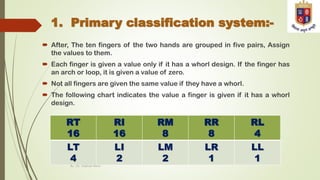 The Henry Classification system is a method used in fingerprint identification. | PDF
