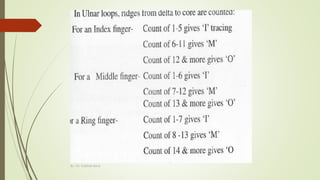 The Henry Classification system is a method used in fingerprint identification. | PDF