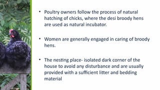 backyard poultry farming in india ..pptx