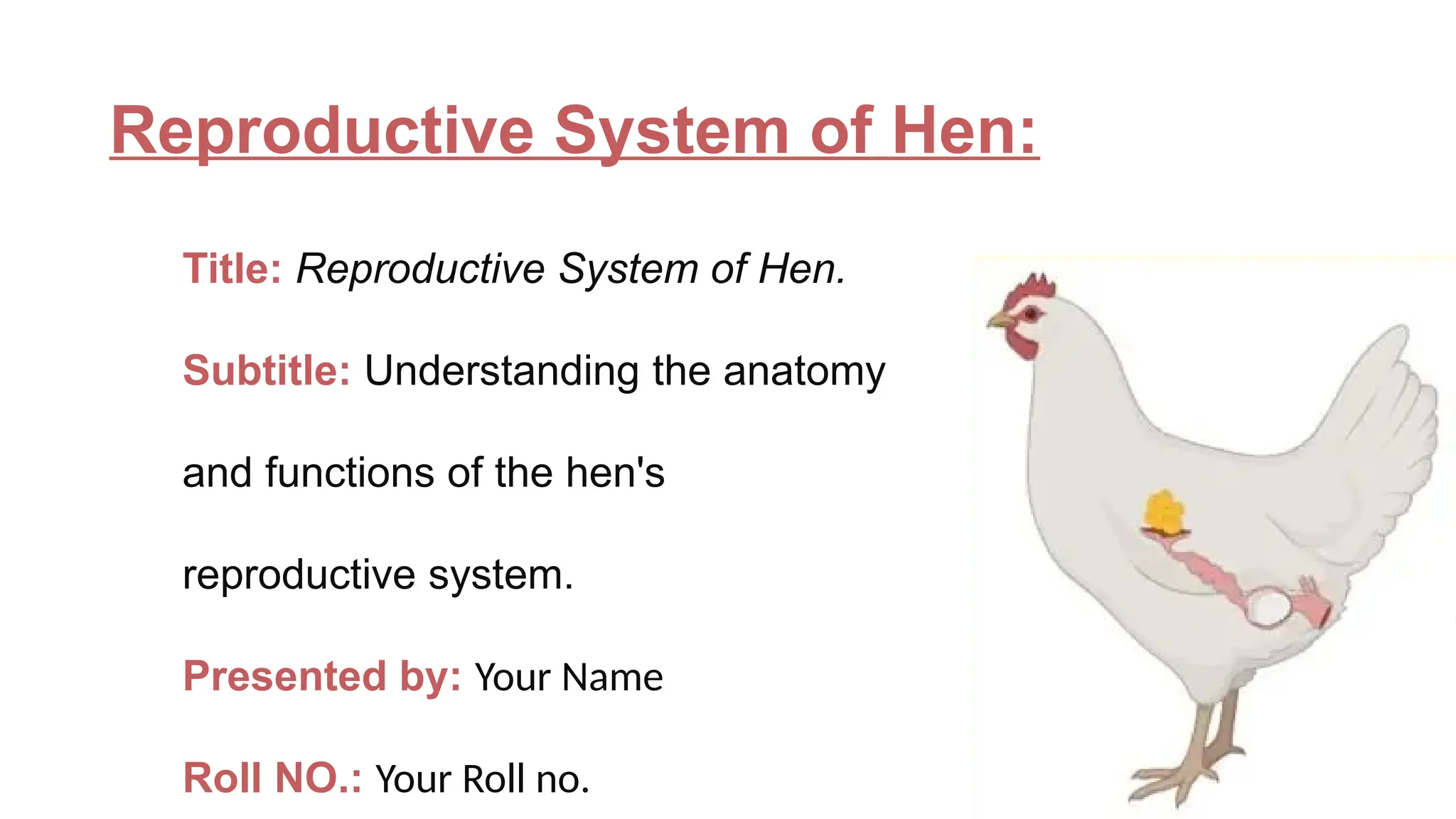 The Anatomy and Function of a Hen's Reproductive System | PPTX