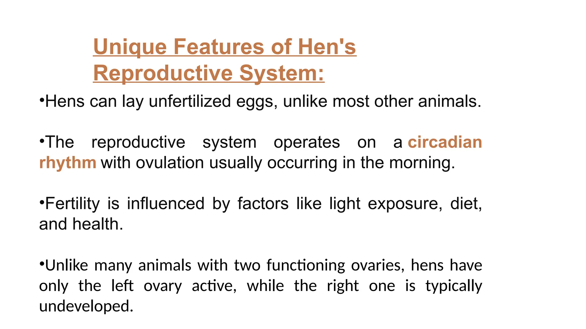 The Anatomy and Function of a Hen's Reproductive System | PPTX
