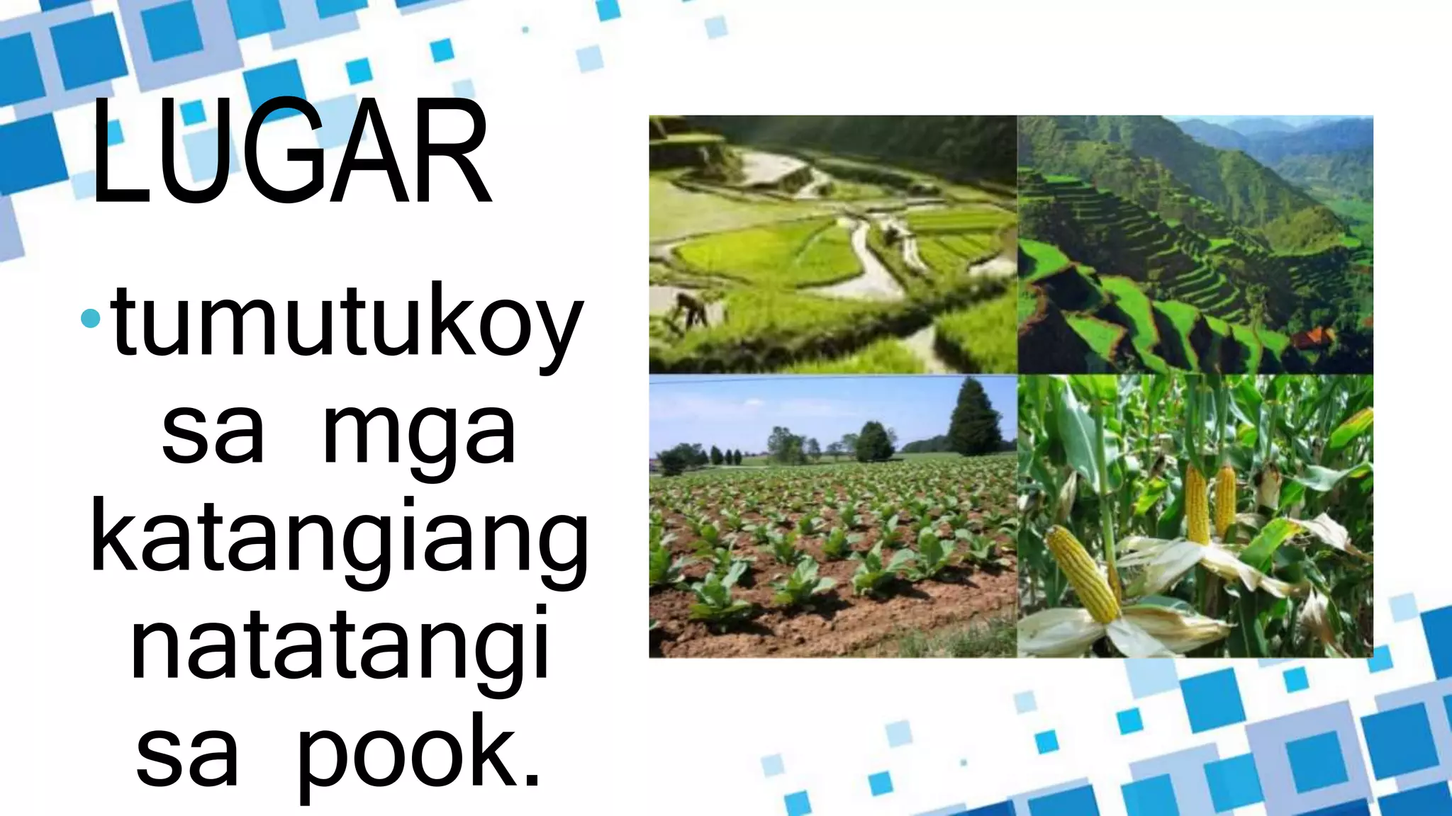 Heograpiya ng Daigdig | PPTX