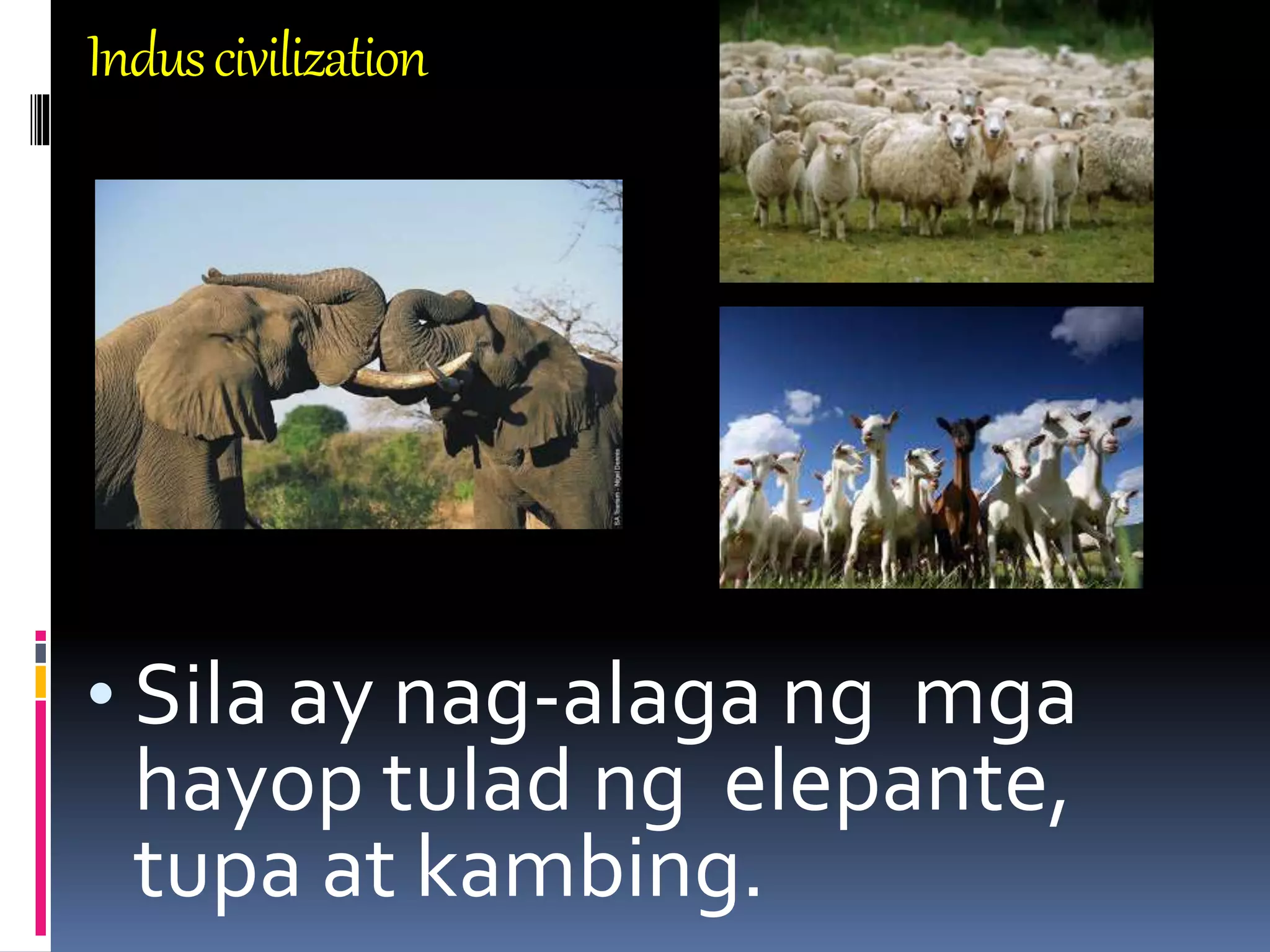 Heograpiya ng indus kabihasnang indus - pagbuo ng mga kaharian | PPTX