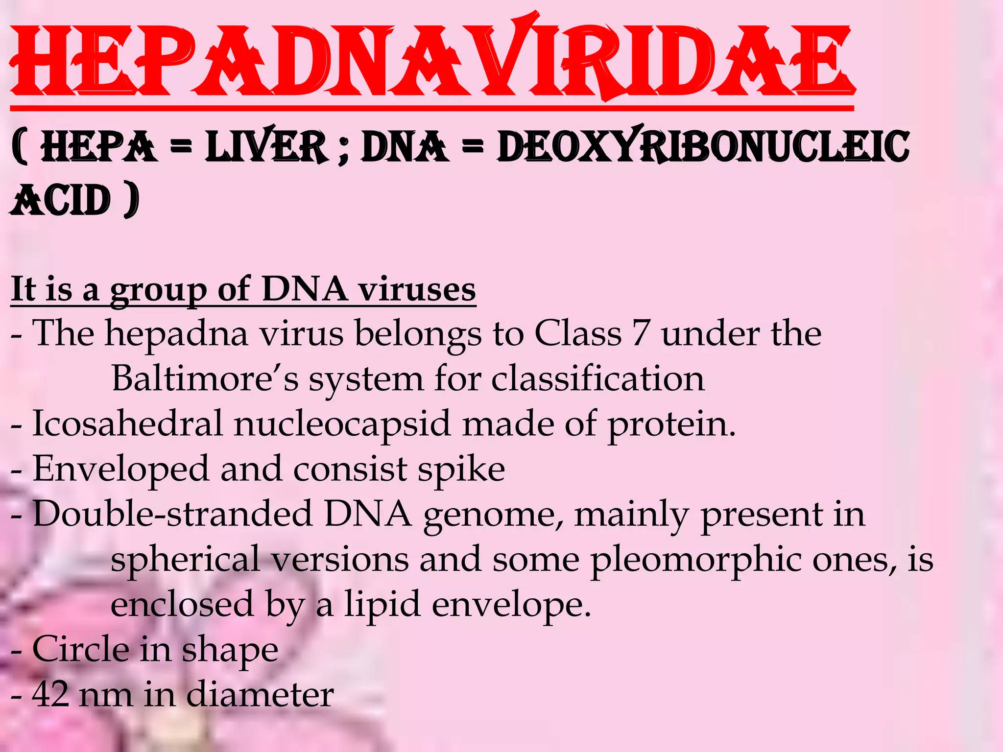 Hepadnaviridae | PPTX