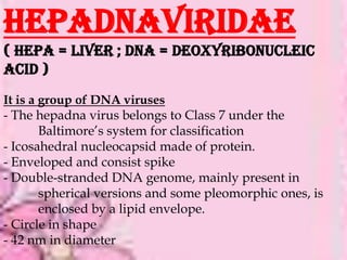 Hepadnaviridae | PPTX | Genetics | Science