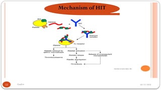 HEPARIN INDUCED THROMBOCYTOPENIA (HIT) | PPT