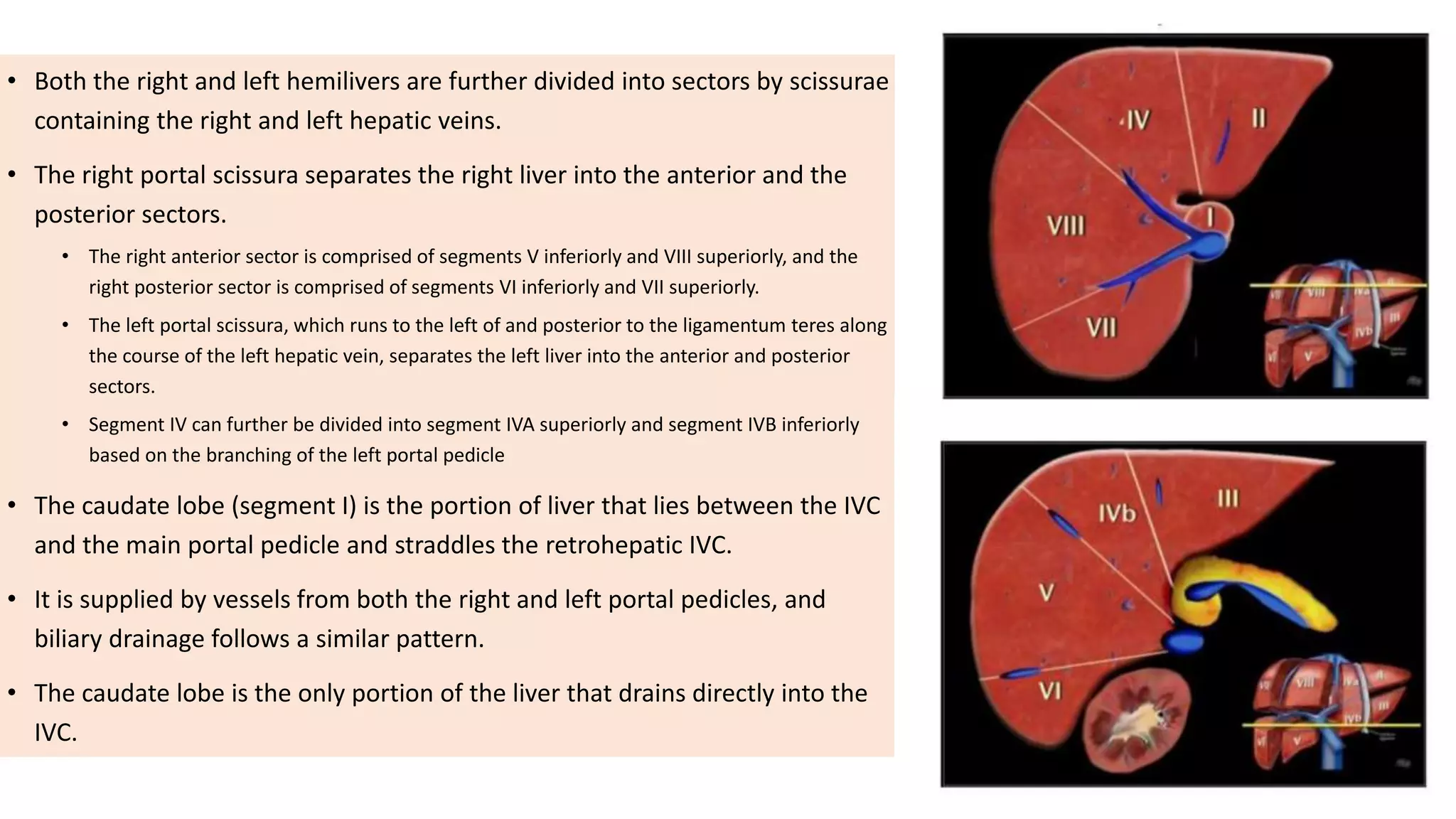 Hepatectomy | PPTX