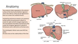 Hepatectomy | PPTX