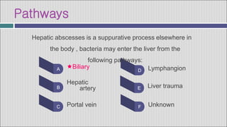 【中医药】Hepatic Abscess.ppt