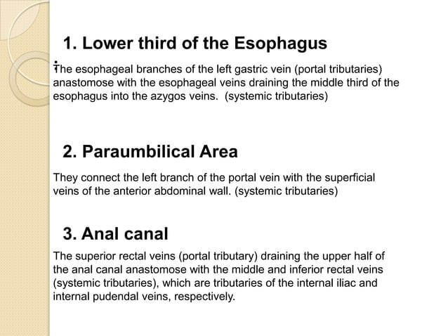 Portacaval Anastomosis | PPTX | Blood Disorders | Diseases and Conditions