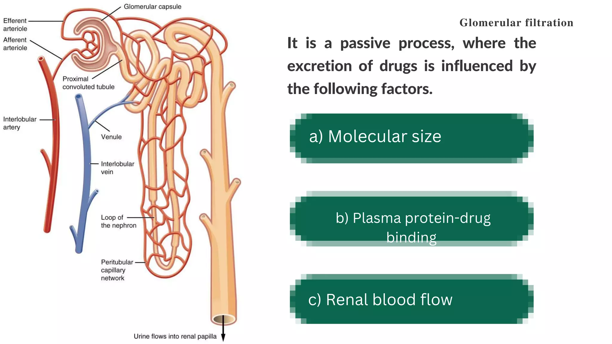 Hepatic and Renal Clearance.pptx