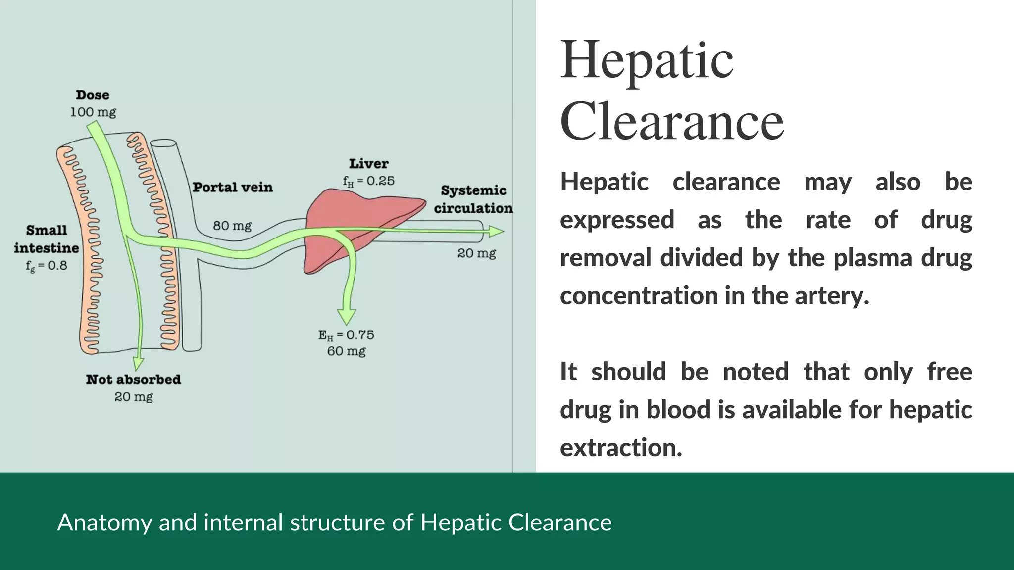 Hepatic and Renal Clearance.pptx