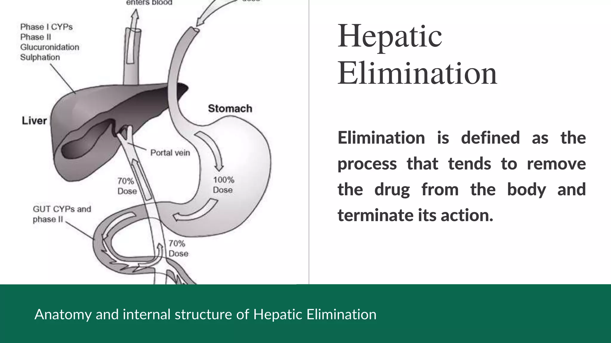 Hepatic and Renal Clearance.pptx