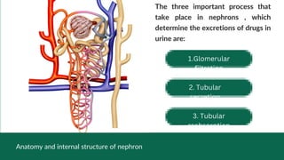 Hepatic and Renal Clearance.pptx