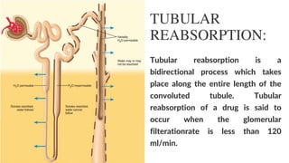 Hepatic and Renal Clearance.pptx