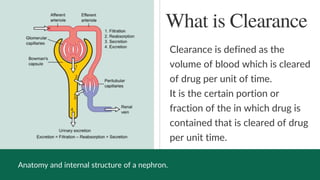 Hepatic and Renal Clearance.pptx