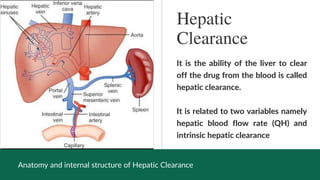 Hepatic and Renal Clearance.pptx