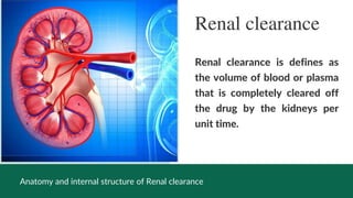 Hepatic and Renal Clearance.pptx